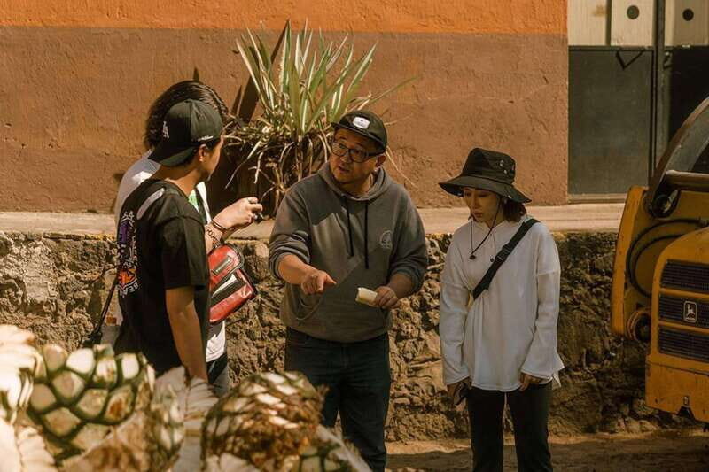 Private Adventure to Tequila and el Cascahuin Distillery - An In-Depth Look at the Tour Experience