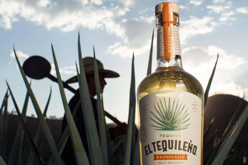 Private Adventure to Tequila and Tequila El Tequileño - FAQs