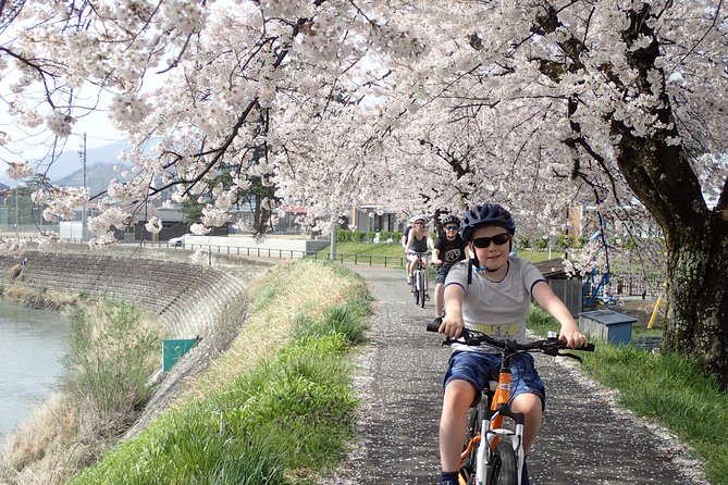 Private Afternoon Cycling Tour in Hida-Furukawa - Scenic Countryside and Relaxed Pace