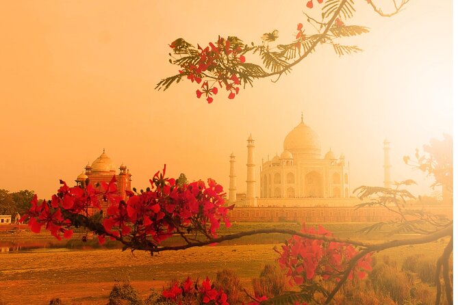 Private Agra Taj Mahal Tour by Car from Delhi - Analyzing the Price and Value