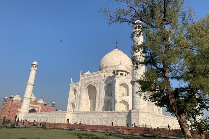 Private Agra Tour - Taj Mahal, Agra Fort & Baby Taj (Daytrip from Delhi) - The Sum Up
