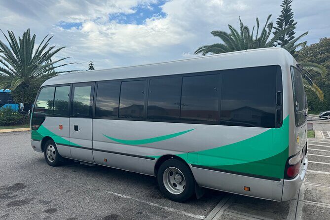 Private Airport Transfer from MBJ to Ocean Eden Bay - Who Should Consider This Transfer?