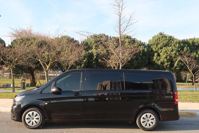 Private Airport Transfer in Istanbul - Customer Reviews and Ratings
