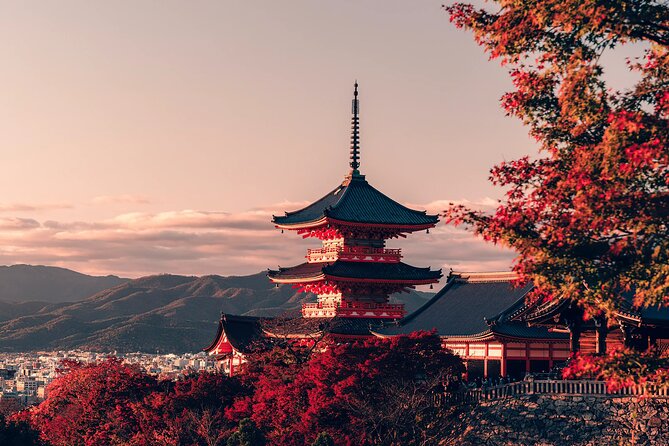 Private Airport Transfer Kansai Intl. Airport(KIX) to OSAKA CITY - Pricing and Cancellation Policy