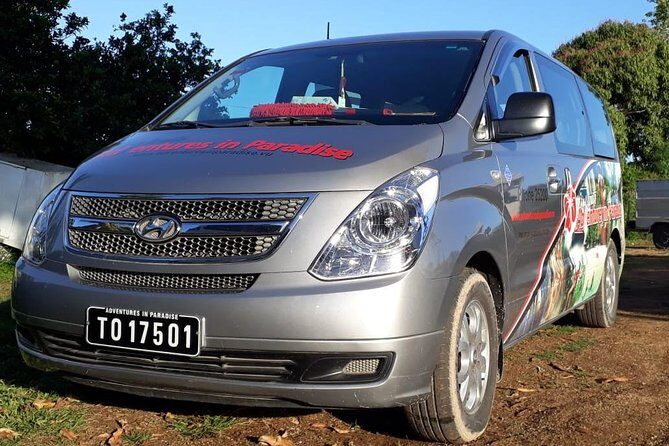 Private Airport Transfer: Port Vila Airport to Hotel - Key Points
