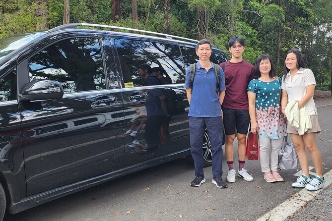 Private Airport Transfer to and From Sydney CBD - Final Thoughts: Who Should Book This?
