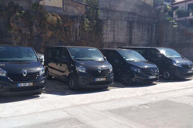 Private airport transfer to Funchal 8 people more return - Key Points