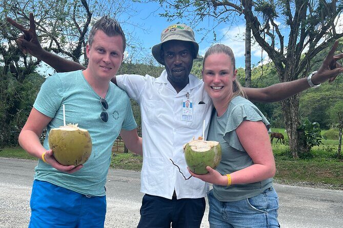 Private Airport Transfer to Hotels and Airbnb in Montego Bay - The Itinerary and What to Expect