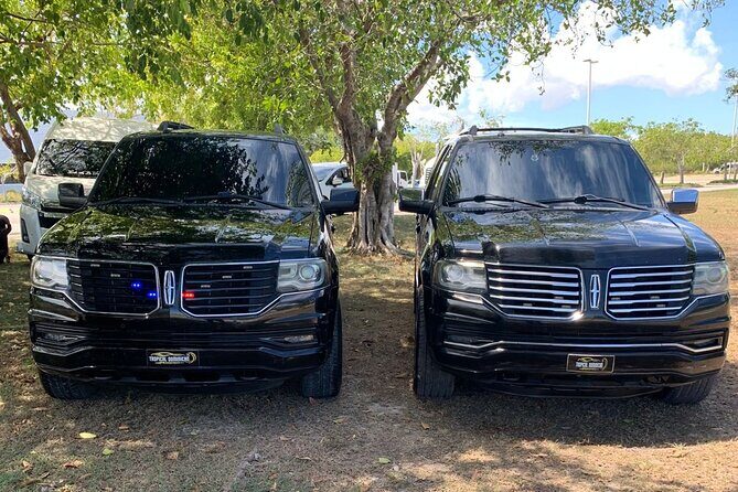 Private Airport Transfer to Punta Cana - Who Would This Experience Suit?