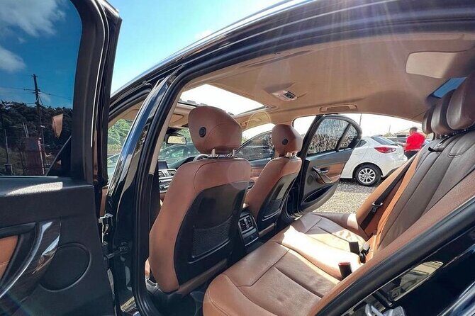 Private Airport Transfer to Trelwany Hotels in Jamaica - Authentic Experiences and Real Feedback