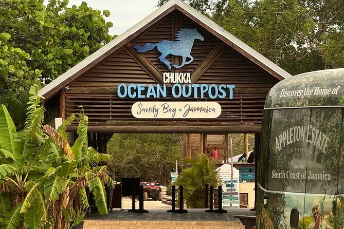 Private Airport Transfers and Excursion Transportation - Who is This Service Best For?