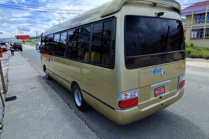 Private Airport Transfer's Departure & Arrival in & around MBJ - Authentic Customer Feedback: What Travelers Say