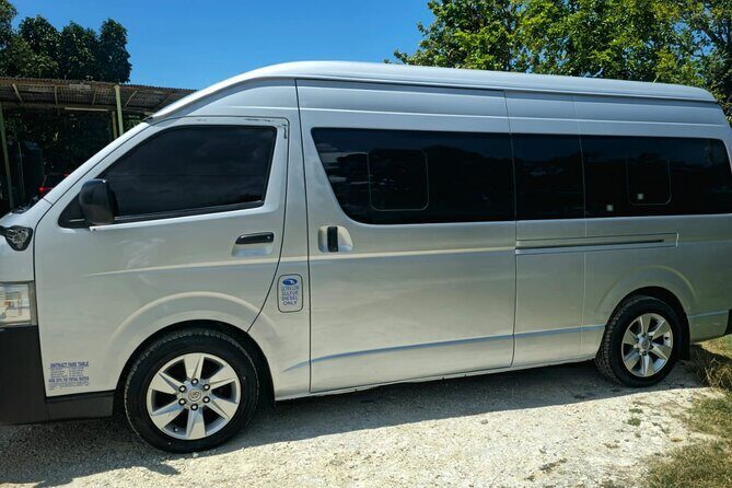 Private Airport Transfers to IberoStar Rose Hall - Real Traveler Perspectives (Based on available reviews)