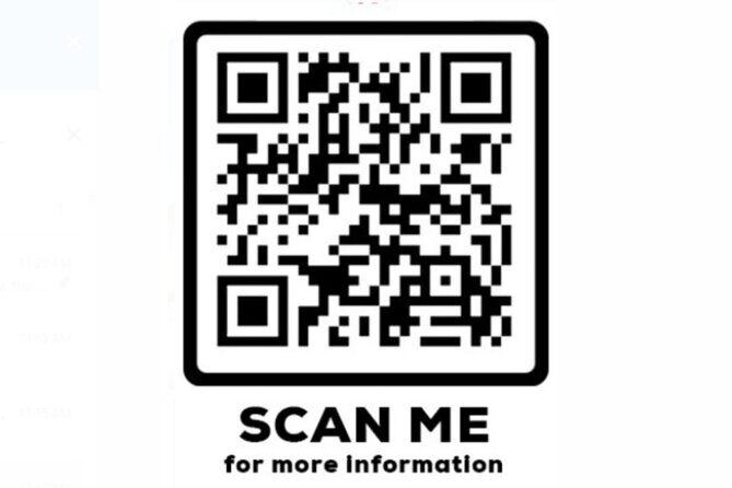 Private Airport Transport Montego Bay to Ocho Rios - What to Expect from This Transfer Service