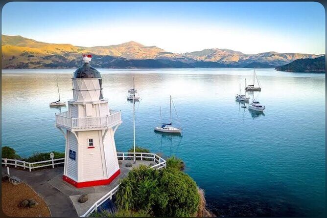 Private Akaroa Day Tour From Christchurch - An In-Depth Look at the Experience