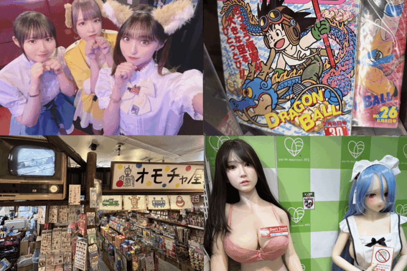 Private Akihabara Anime Game Maid Cafe Tour W/ Free Pickup - Itinerary Highlights