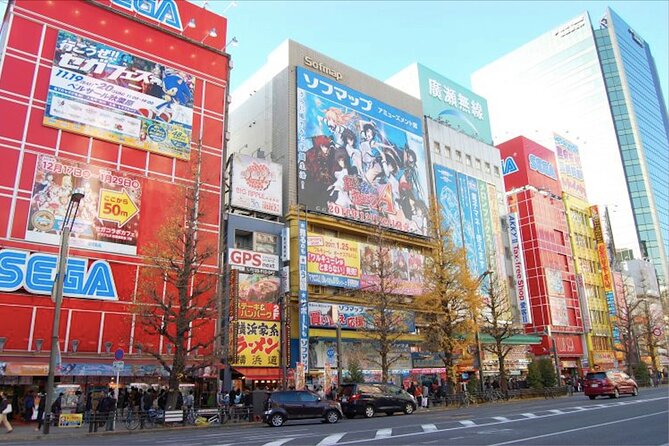 Private Akihabara Anime Guided Walking Tour - Exploring Manga and Anime Shops in Akihabara