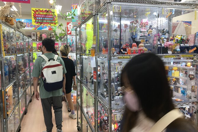 Private Akihabara Anime Guided Walking Tour - Discovering the World of Anime Cosplay