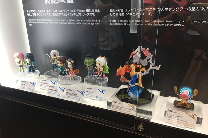 Private Akihabara Anime Guided Walking Tour - Customizing the Tour to Match Interests