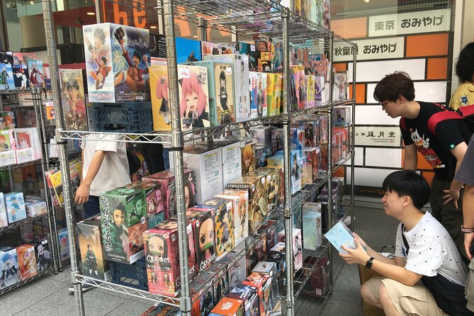 Private Akihabara Anime Guided Walking Tour - Participant Experiences and Feedback