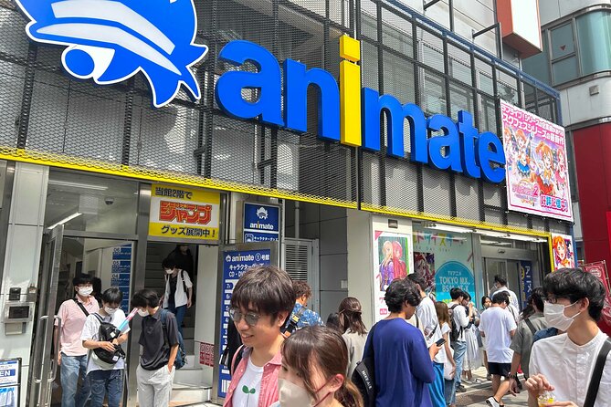 Private Akihabara Anime Guided Walking Tour - Recommended for Families and Anime Enthusiasts