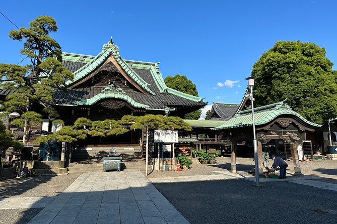 Private Akihabara Retro Tokyo Anime Game Maid Cafe Tour W/ Pickup - Exploring Akihabaras Retro Tokyo Anime Game Maid Cafe Scene