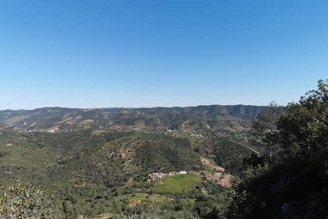 Private Algarve Hinterland Escape in Volvo XC90 SUV - Immersive Experience With Binoculars and Refreshments