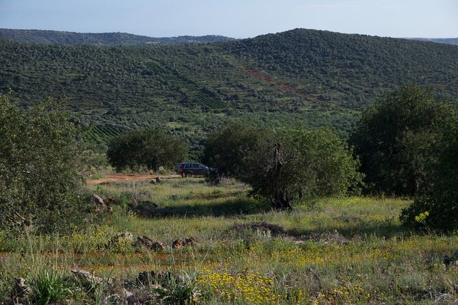 Private Algarve Hinterland Escape in Volvo XC90 SUV - Exceptional Reviews and Traveler Recommendation
