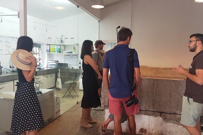 Private Algarve Wines Route - Tour Experience and Highlights