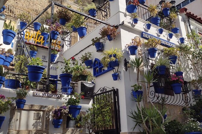 Private Alicante Shore Excursion with Castle Tour - The Cost and What You’re Getting