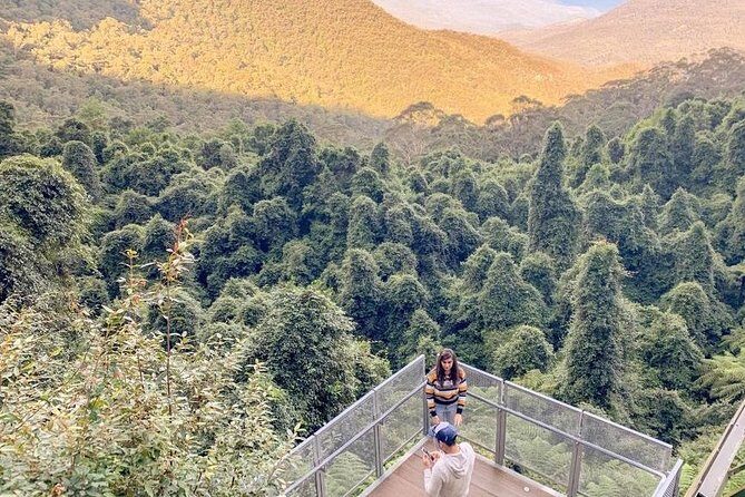 Private All Blue Mountains Day Tour - The Sum Up
