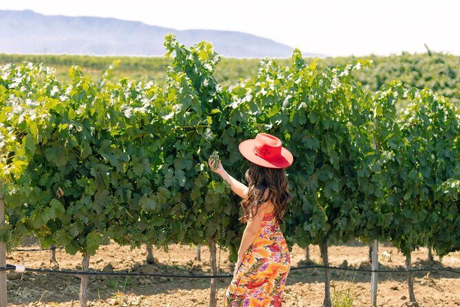 Private All-Inclusive 3-Winery SYV Tour from Santa Barbara - Exploring the Santa Ynez Valley: An Honest Look at the Private All-Inclusive 3-Winery Tour