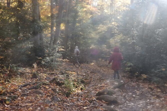 Private All-Inclusive Algonquin Tours (3 Day Guided Camping) - Practical Considerations