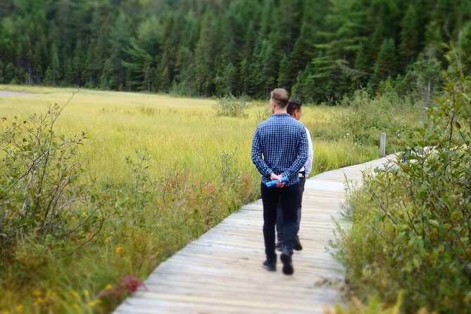 Private All-Inclusive Algonquin Tours (3 Day Guided Camping) - Final Thoughts