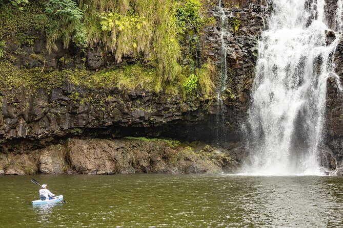 Private - All Inclusive Big Island Waterfalls Tour - Final Thoughts: Who Will Love This Tour?
