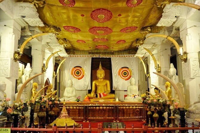 Private All Inclusive Day Tour to Kandy from Colombo and Negombo - A Deep Dive into the Experience