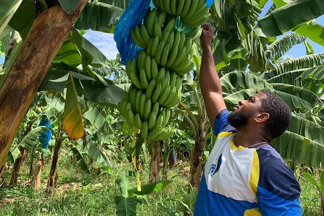 PRIVATE/ALL INCLUSIVE/LUNCH- Tet Paul Trail/Mud baths/Waterfall - The Sum Up