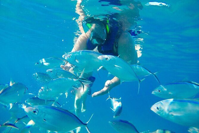 Private all-inclusive snorkeling at sosua beach. - Who Will Love This Tour?