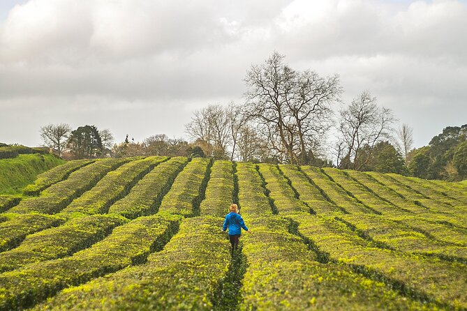 Private - All of Furnas, Tea Plantation, ticket to Beija included - FAQ