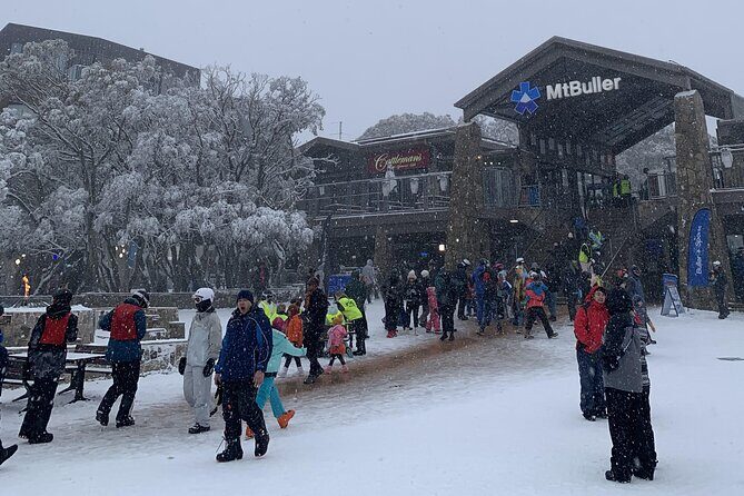 Private Alpine Day Tour from Melbourne to Mount Buller - A Full Breakdown of the Experience