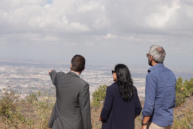 Private Amalfi Coast Day Tour from Sorrento or Naples - Who Will Appreciate This Tour?