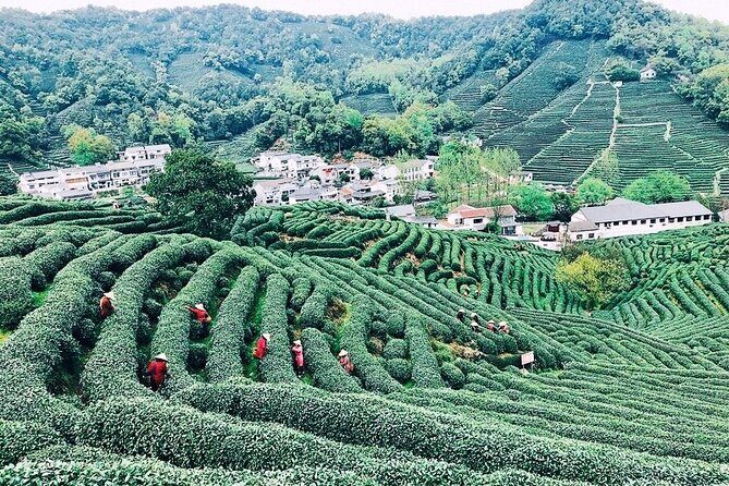 Private Amazing Hangzhou Airport Layover Tour with Lunch or Dinner Option - A Detailed Look at the Hangzhou Layover Tour