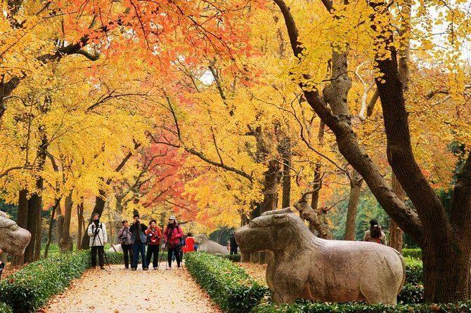 Private Amazing Nanjing City Day Tour in Your Way - A Practical Look at the Private Amazing Nanjing City Day Tour in Your Way