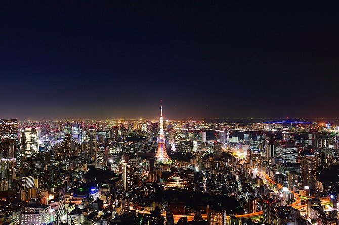 Private Amazing Tokyo Night Tour With English Speaking Driver - Additional Information
