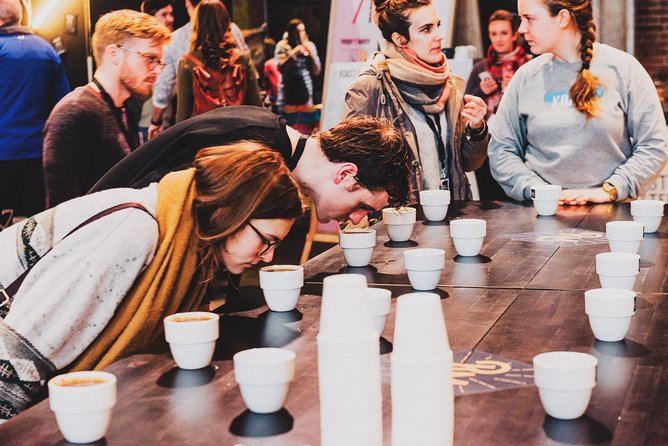 Private Amsterdam Red Light District and Coffee Shop Tour with Expert Guide - The Sum Up: Is This Tour Worth It?