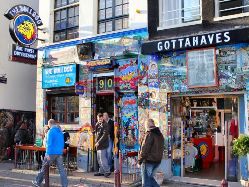 Private Amsterdam Walking Tour - Final Thoughts