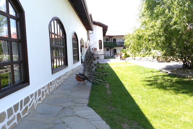 Private Ancient History Spa and Wine from Sofia - Authentic Reviews and Real Experiences