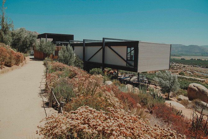 Private and custom group Wine tour Valle de Guadalupe - The Authentic Experience: What Travelers Say