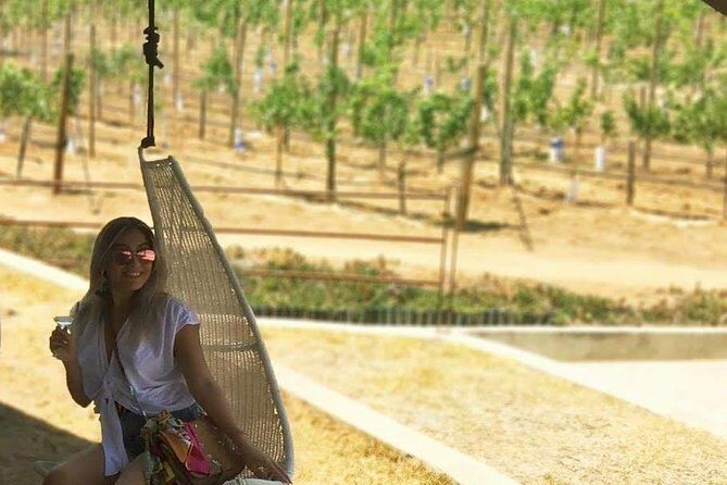 Private and custom group Wine tour Valle de Guadalupe - In Summary