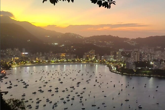 Private and Customizable Tour in Rio De Janeiro - Accessibility